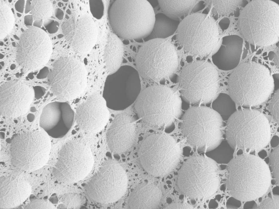 Sticking power: Cellulose nanofibrils as universal binder for particles ...